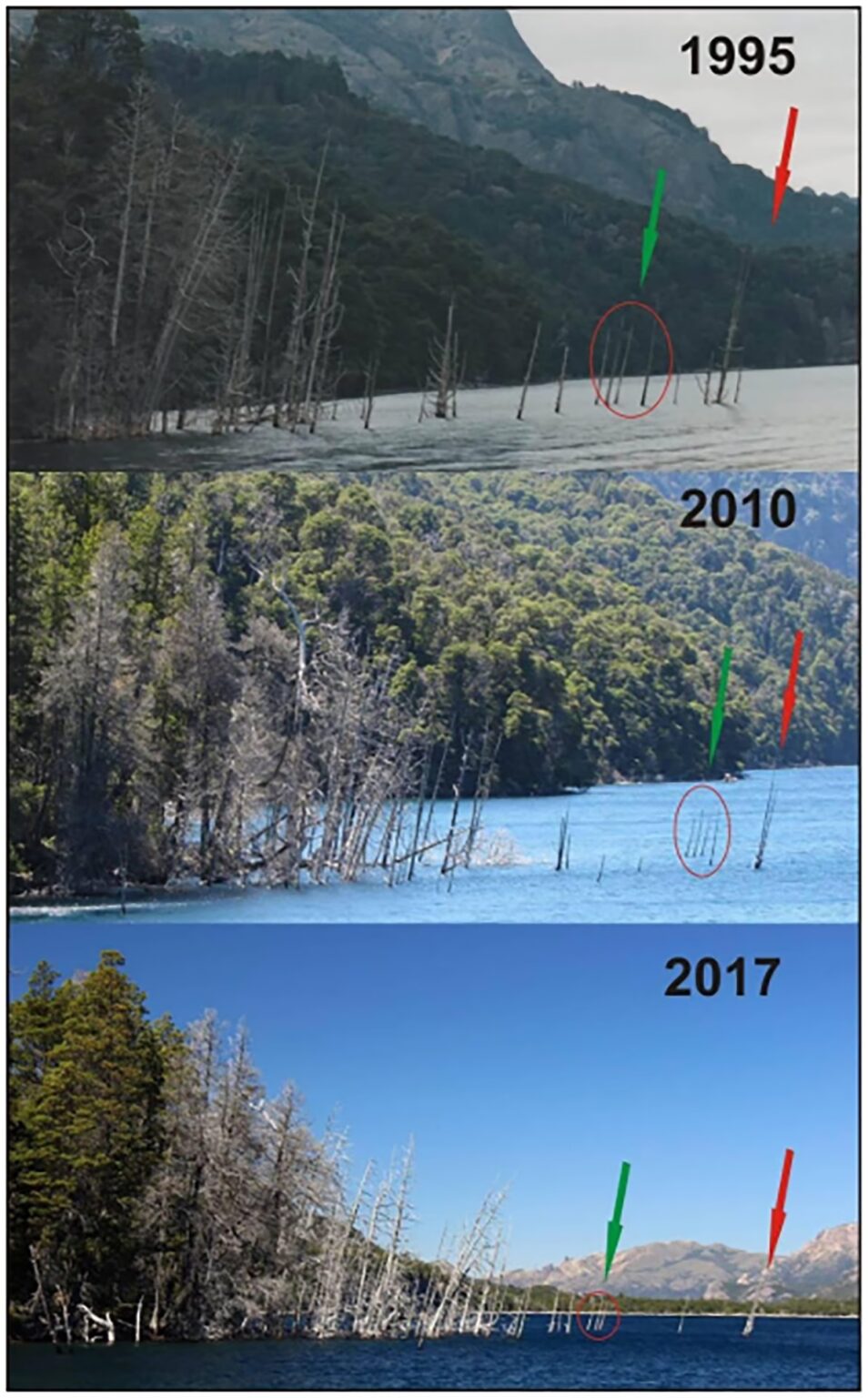 Lago Traful: El Secreto del Bosque Sumergido | Partido Verde