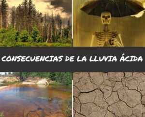 Lluvia Ácida: Causas, Efectos y Soluciones | Partido Verde
